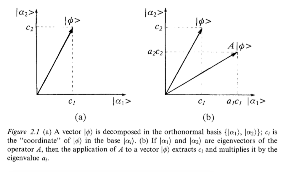 Quantum Properties – Todd Decker